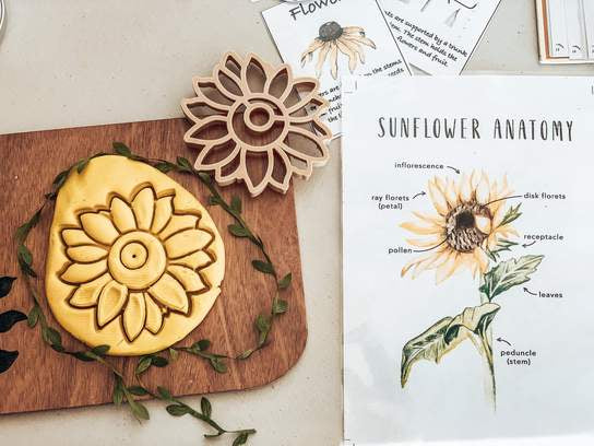 Sunflower Eco Cutter – Mountains and Meadows